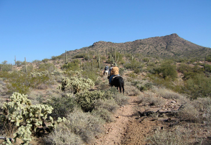 Ranch Holiday in USA and Canada