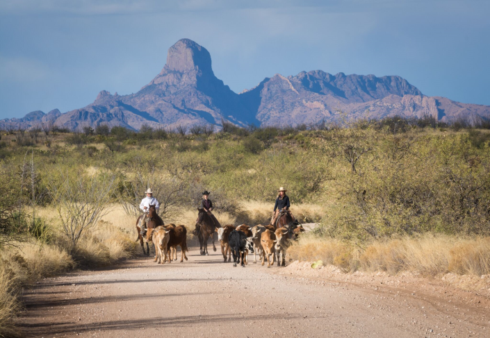 Ranch Holiday in USA and Canada